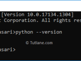 Python Installation Tutlane