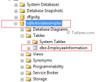 Sql Server Rename Table Command Cabinets Matttroy