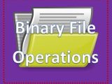 Explore Binary Files In Python Class 12 In Easy Manner Tutorialaicsip
