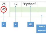 Python Functions Class12 4 Important Insights Of Functions
