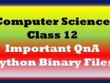 Important Qna Binary Files Cs Class 12