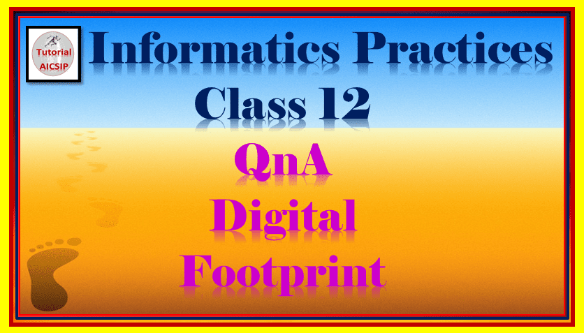 Important QnA Digital Footprint Class12 - TutorialAICSIP