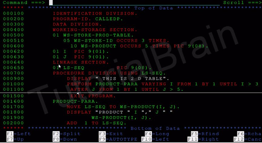 COBOL CALL Statement — TutorialBrain