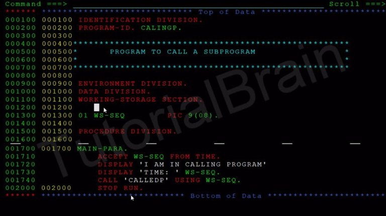 COBOL CALL Statement — TutorialBrain