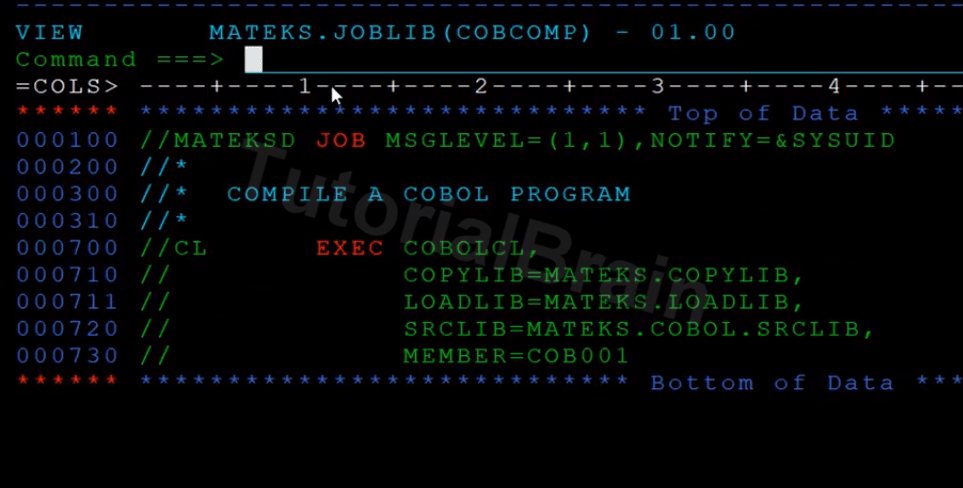 COBOL HELLO WORLD Program — TutorialBrain