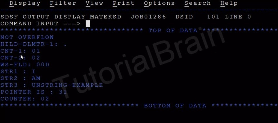 COBOL String Handling — TutorialBrain