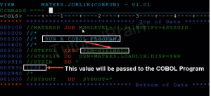 COBOL ACCEPT Statement with Examples— TutorialBrain