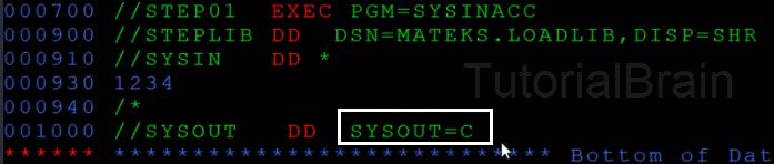 JCL SYSIN and SYSOUT Parameter — TutorialBrain