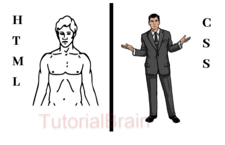 Css 3 Tutorial — Beginner To Advance Level — Tutorialbrain
