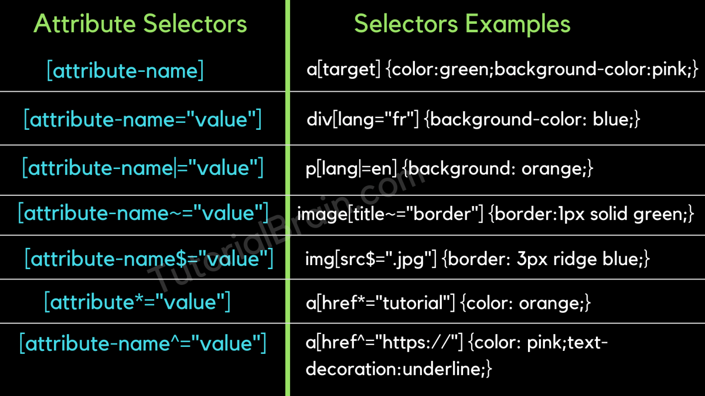 Css Attribute Selector — Tutorialbrain