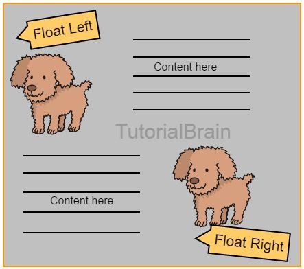 CSS Float — TutorialBrain