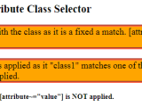 Css Attribute Selector Tutorialbrain