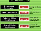 Css Selectors Learn Different Types Of Selectors In Css Tutorialbrain