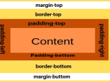 Css Padding Tutorialbrain