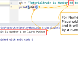 Python Placeholder Tutorialbrain