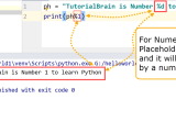 Python Placeholder Tutorialbrain