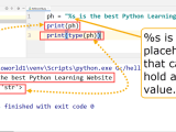 Python Placeholder Tutorialbrain