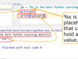 Python Placeholder Tutorialbrain