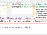 Python Placeholder Tutorialbrain