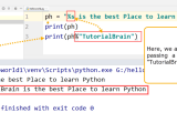 Python Placeholder Tutorialbrain