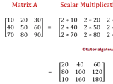 C Program To Perform Scalar Matrix Multiplication