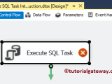 Execute Sql Task In Ssis