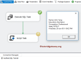 Execute Sql Task In Ssis Single Rowset