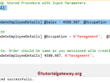 Input Parameters In Sql Stored Procedure