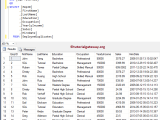 Input Parameters In Sql Stored Procedure
