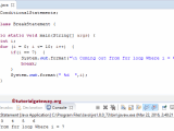 Java Break Statement