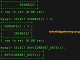 Mysql Current Date