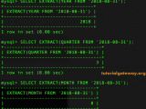 Mysql Extract Function