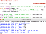 Python List Clear Function