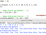 Python Numpy Bitwise Operators