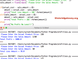 Python Program To Calculate Profit Or Loss