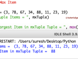 Python Program To Find Largest Item In A Tuple
