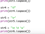 Python Isspace Function