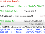 Python Set Copy