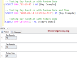 Sql Day Function