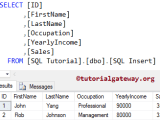 Sql Insert Statement
