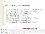 Sql Primary Key Constraint