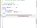 Sql While Loop