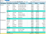 Ssrs Avg Function