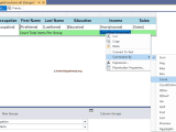 Ssrs Count Function