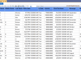 Ssrs Isdate Function