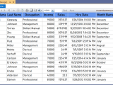 Ssrs Monthname Function