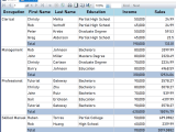 Ssrs Sum Function