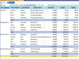 Ssrs Sum Function