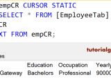Static Cursor In Sql Server