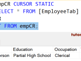 Static Cursor In Sql Server